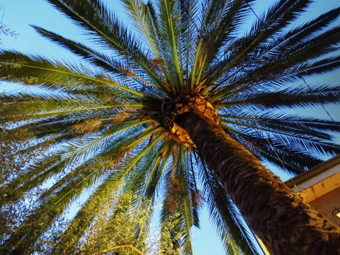 Road Trip — www.wireltern.ch