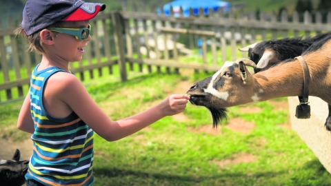 Lohnenswert – die Thunersee Schlösser — www.wireltern.ch